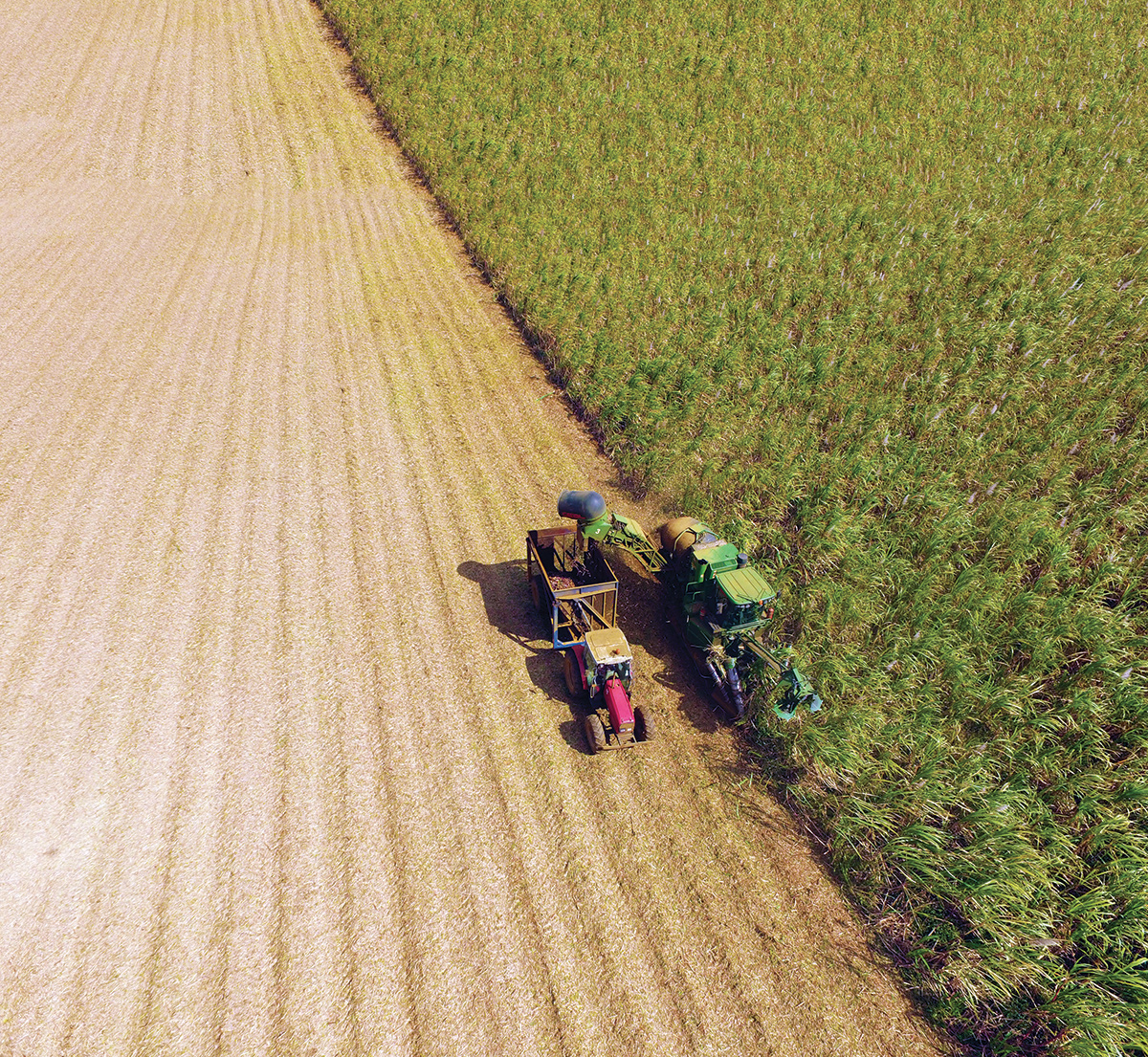 Home - Smart Agriculture Mauritius