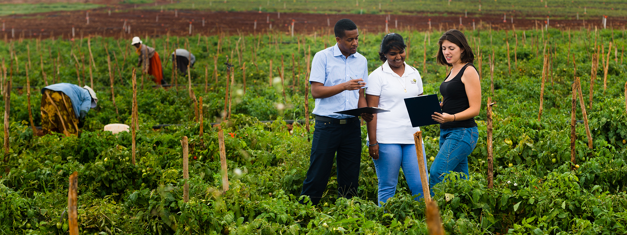 Context - Smart Agriculture Mauritius