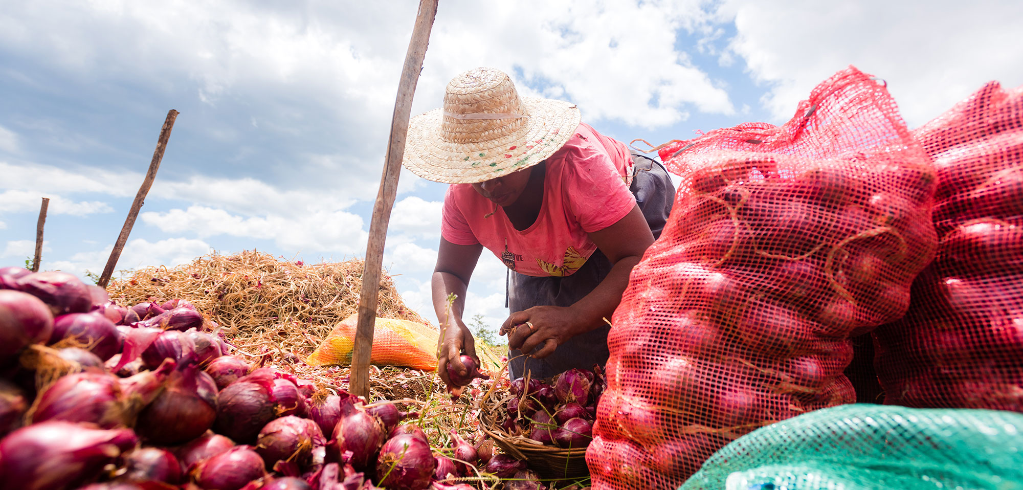 Chosen methodology - Smart Agriculture Mauritius