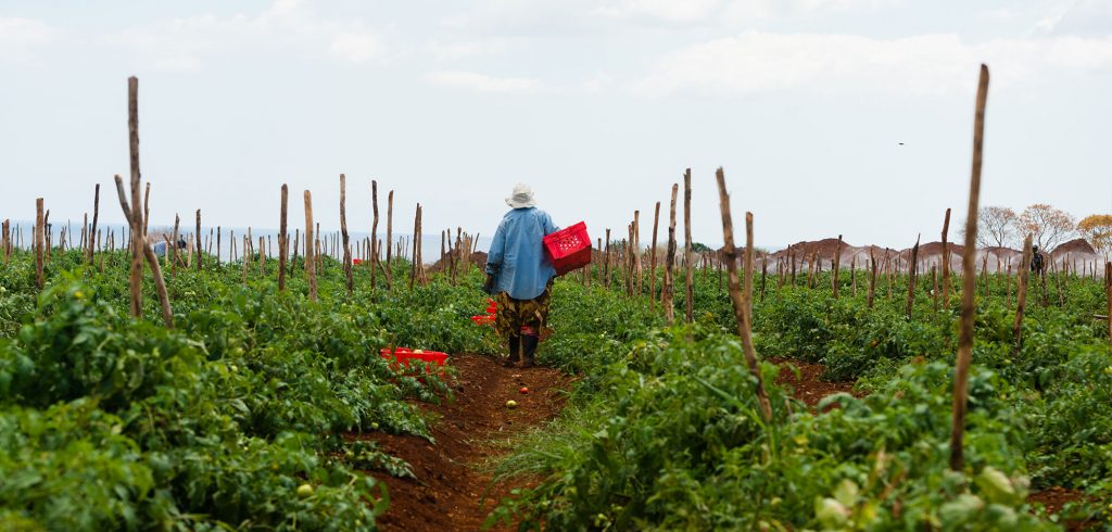 Smart Agriculture - Mauritius Chamber of Agriculture